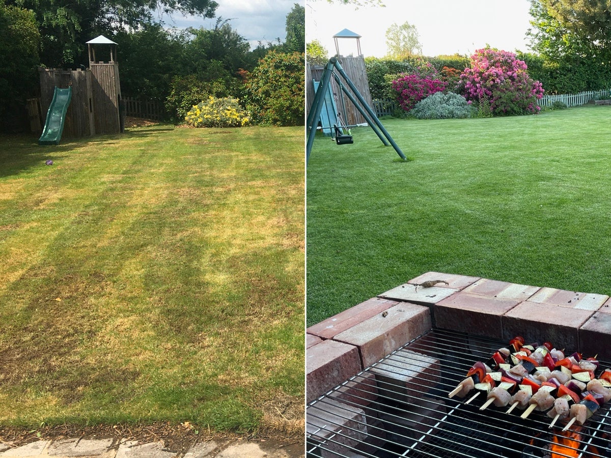 How I rescued my lawn but ruined my life The Independent